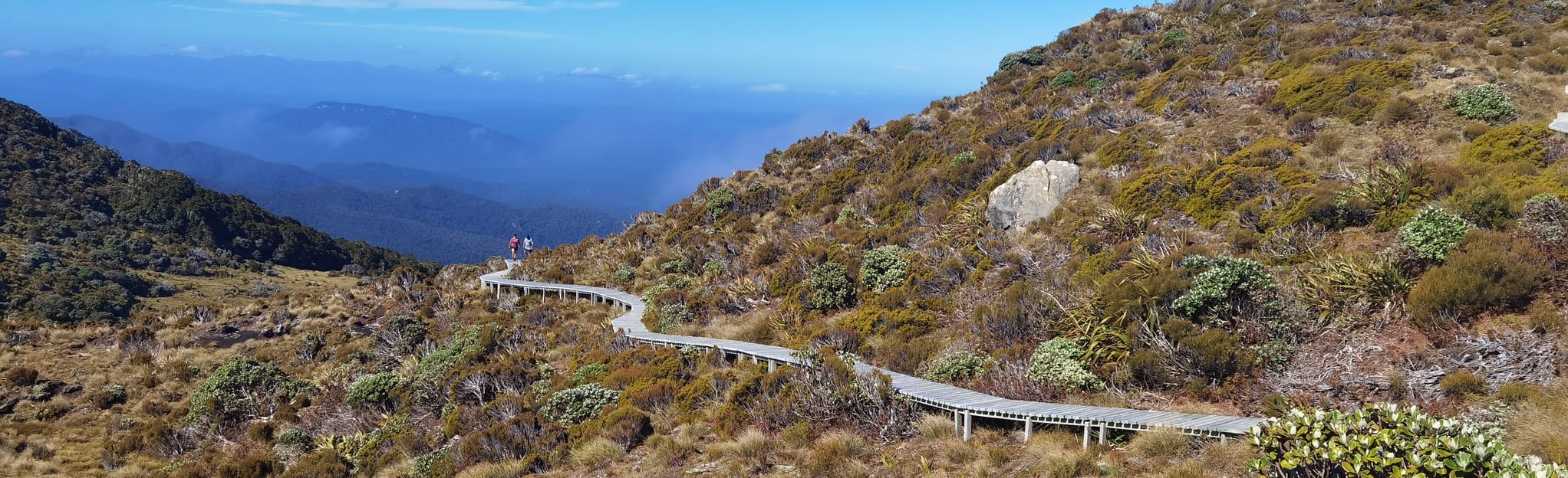 Hump Ridge Track, Southland, New Zealand - 43 Reviews, Map | AllTrails