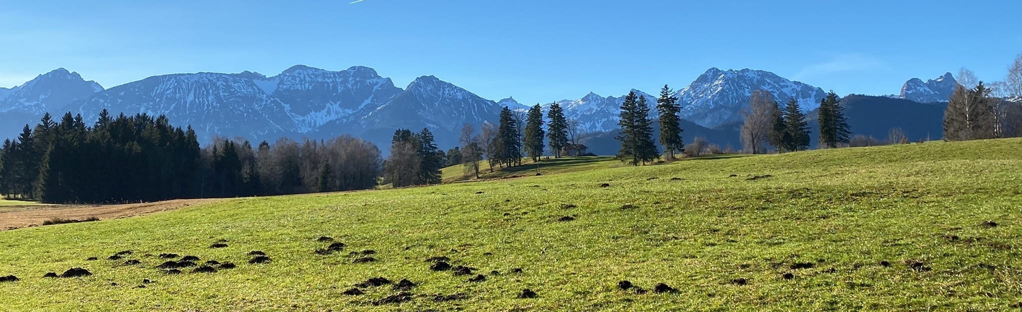 Hopfensee Loop: 74 Reviews, Map - Bavaria, Germany | AllTrails