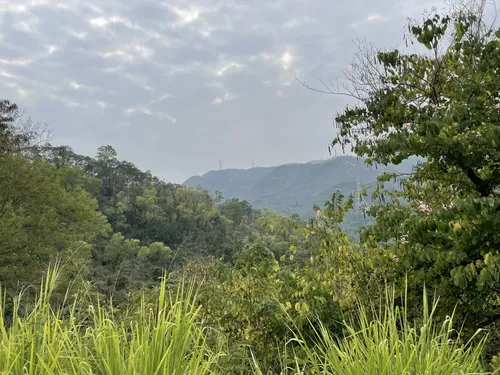 10 Best Hikes and Trails in Tai Lam Country Park | AllTrails