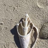 Bush Key Trail, Florida - 53 Reviews, Map | AllTrails