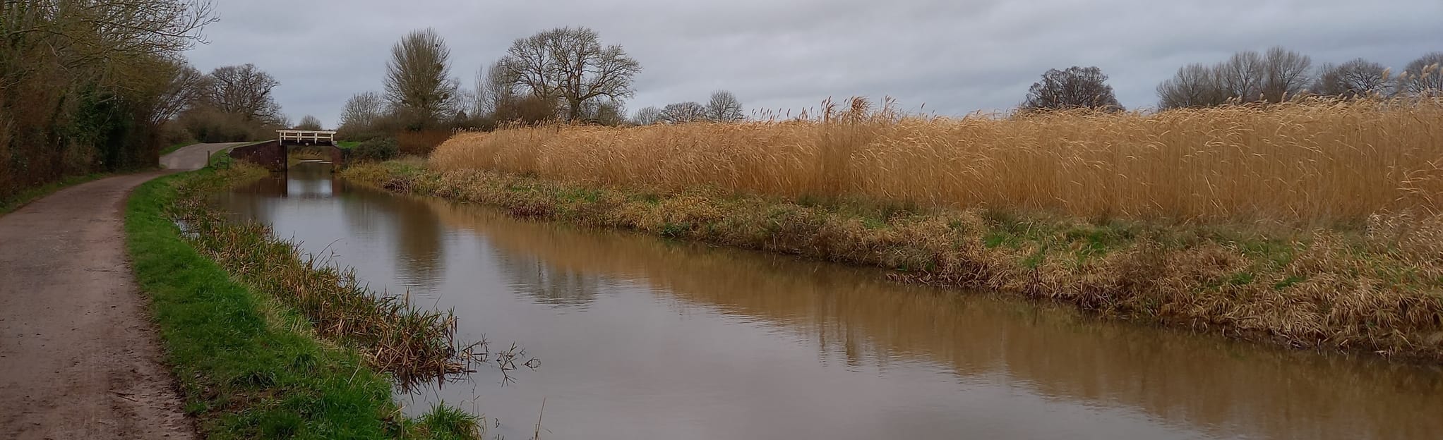 Creech St Michael to North Newton, Somerset, England - 23 Reviews, Map ...