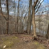 Matildaville Trail, Virginia - 209 Reviews, Map | AllTrails
