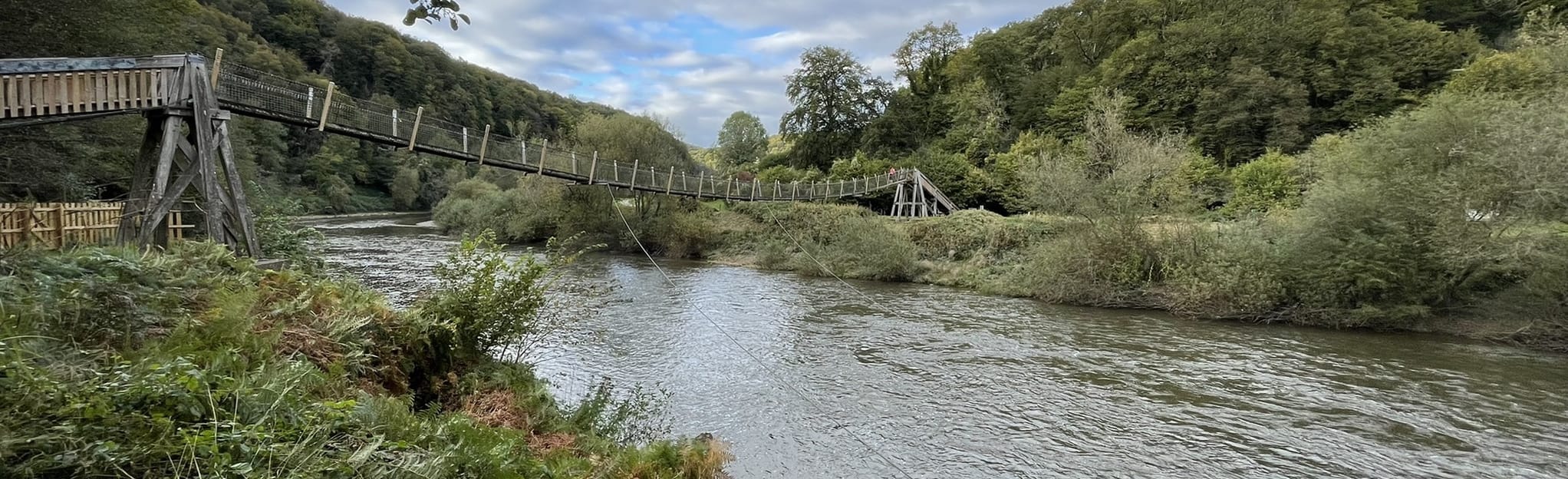 Forest of Dean - Highmeadow Woods - Lords Wood Circular, 893 Fotos ...