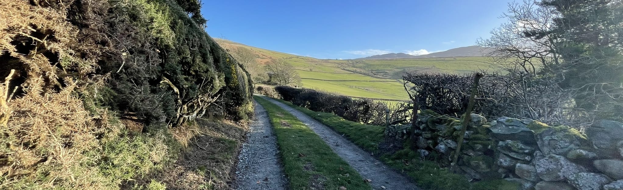 Tal Y Fan from Llanfairfechan, Conwy, Wales - 20 Reviews, Map | AllTrails