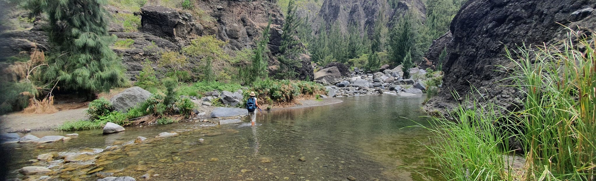 Chapel Trail: 190 Reviews, Map - Saint-Pierre, Réunion | AllTrails