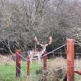 Dial Post - Shipley Circular, West Sussex, England - 187 Reviews, Map ...