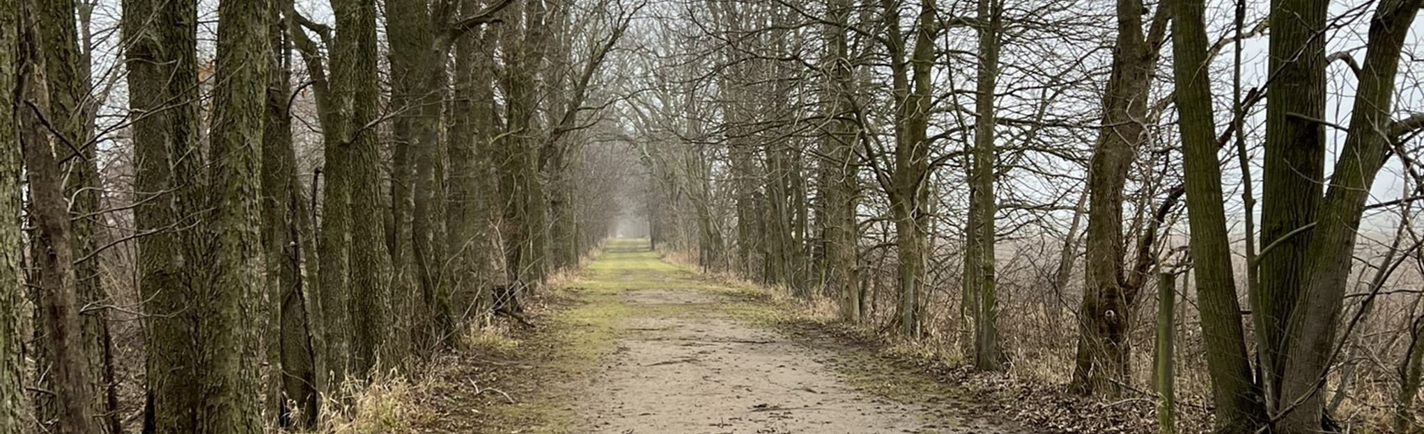 Riverbend Park Loop, Ohio - 19 Reviews, Map | AllTrails