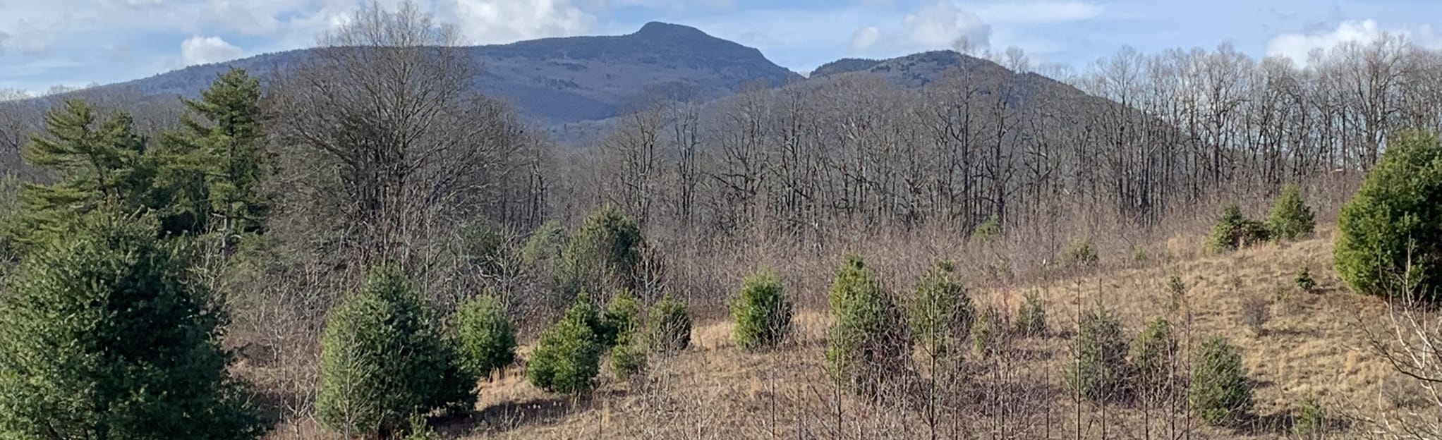 Boone Fork Trail: 3.504 Fotos - North Carolina | AllTrails