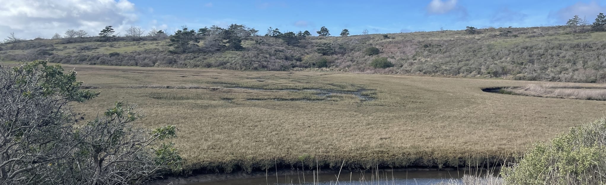 Point Reyes Hill: Muddy Hollow and Coastal Trail Loop, California - 281 ...