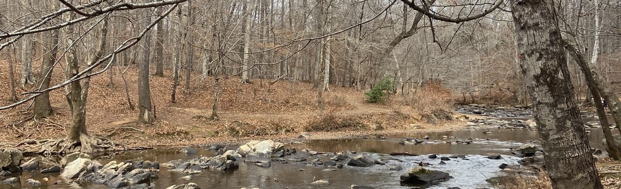 Eno River Short Loop: 25 Reviews, Map - North Carolina | AllTrails