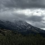 Proctor Road Nature Trail, Arizona - 301 Reviews, Map | AllTrails