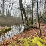 Squantz Pond Trail, Connecticut - 425 Reviews, Map | AllTrails