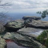 Cook's Wall Trail, North Carolina - 374 Reviews, Map | AllTrails