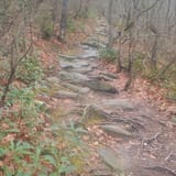Cook's Wall Trail, North Carolina - 374 Reviews, Map | AllTrails