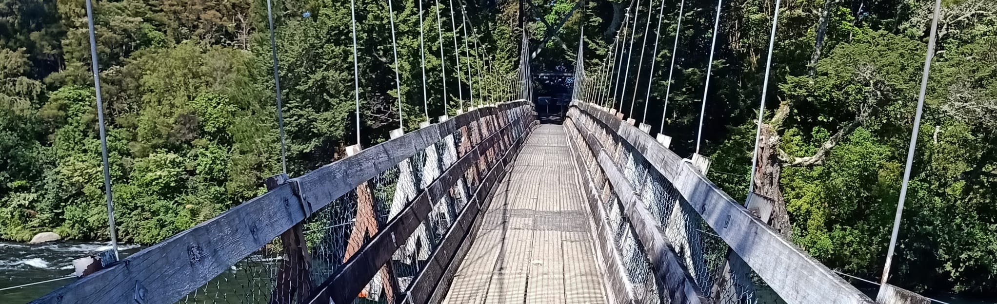Tongariro River Trail to Suspension Bridge, Waikato, New Zealand - 83 ...
