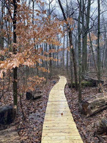 Best Hikes and Trails in Morris Woods State Park | AllTrails