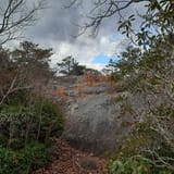 Little Lost Cove Cliffs, North Carolina - 147 Reviews, Map | AllTrails
