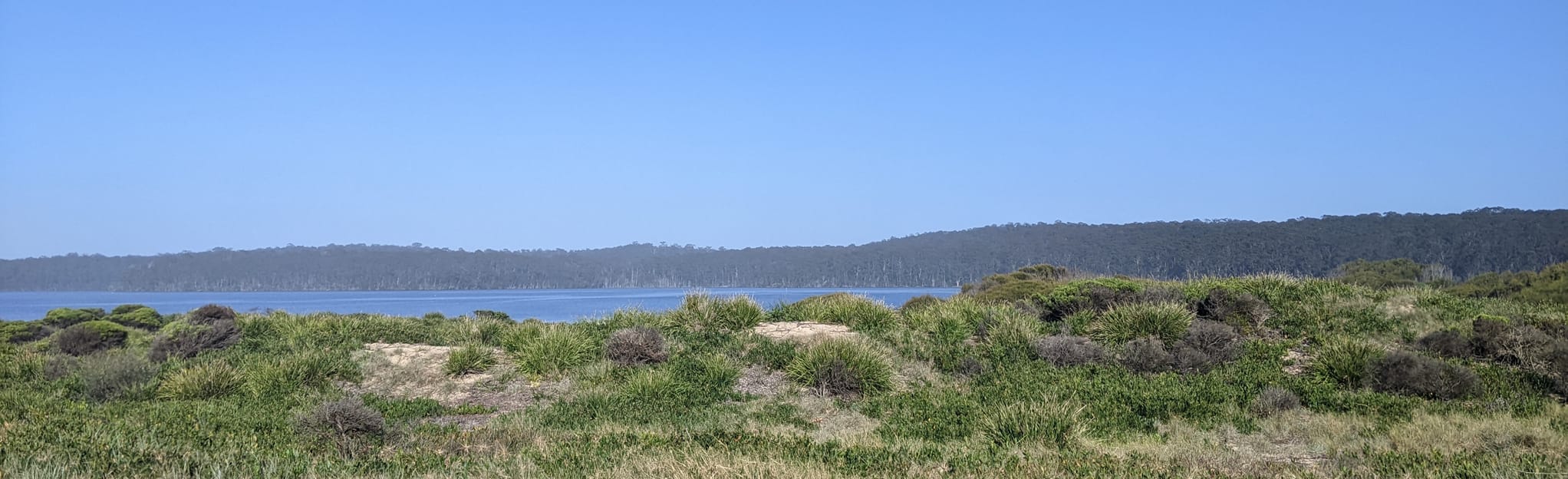 AllTrails | Brou Lake to Channon Point Beach Walk: 8 Reviews, Map - New ...