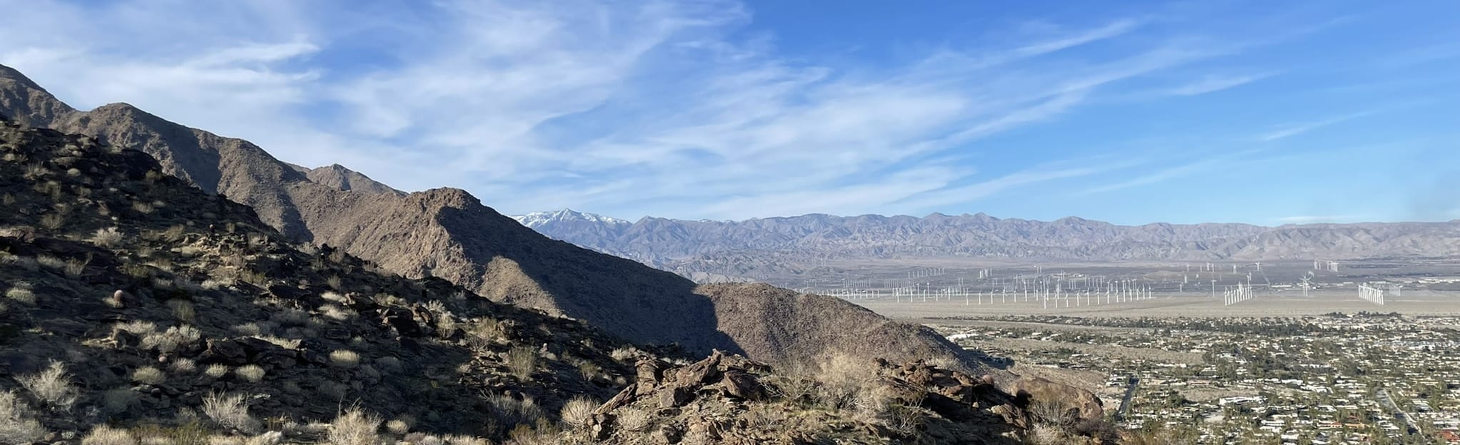 Museum Trail, California - 1,651 Reviews, Map | AllTrails