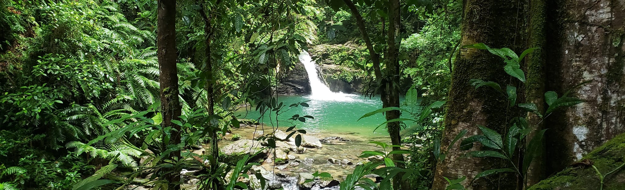 Rio Seco Waterfall: 15 fotos - Região Sangre Grande, Trinidad e Tobago ...