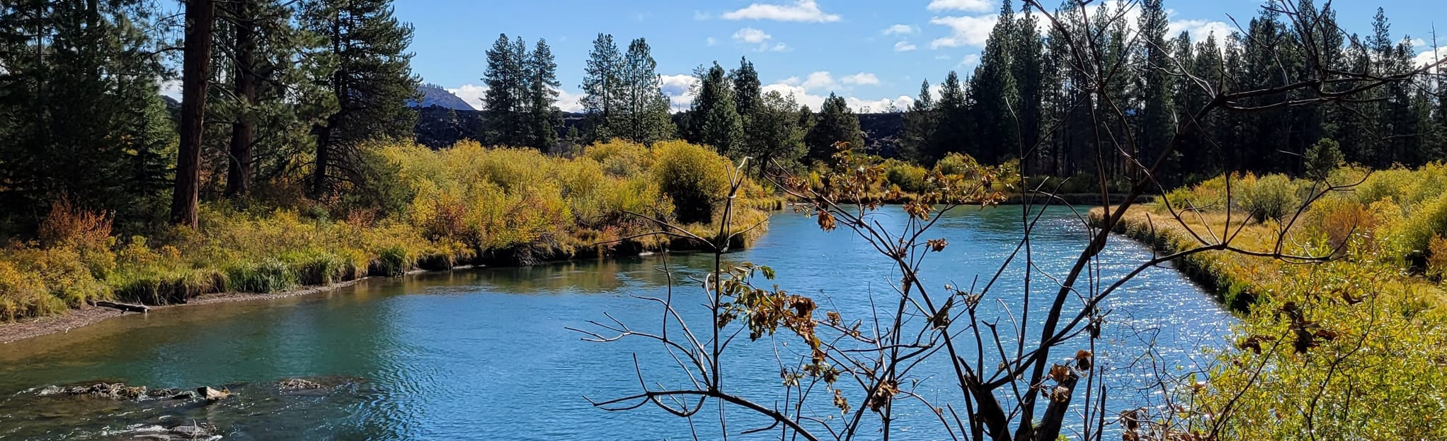Benham Falls Trail: 1160 Reviews, Map - Oregon | AllTrails