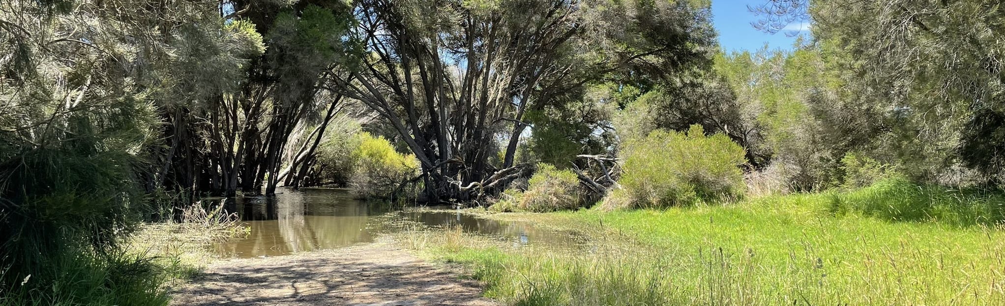 Lake Lorne Walk: 14 Reviews, Map - Victoria, Australia | AllTrails