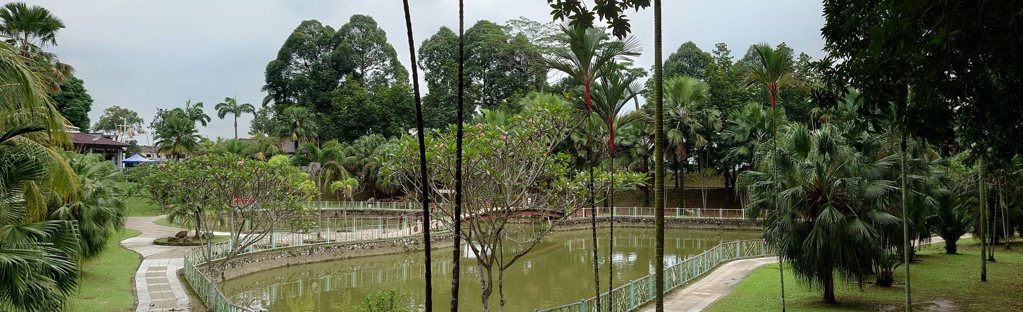 Taman-Rakyat-Pfad, 41 Fotos - Selangor, Malaysia | AllTrails