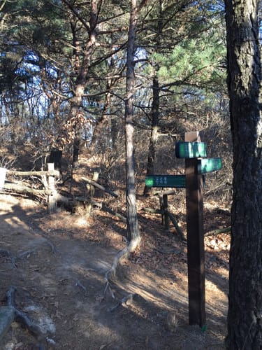 2023 Best Walking Trails in Geumcheon-gu | AllTrails