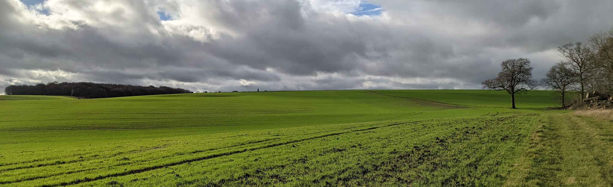 Datchworth Circular, Hertfordshire, England - 7 Reviews, Map | AllTrails