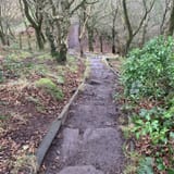 Raw Head Circular, Cheshire, England - 243 Reviews, Map | AllTrails