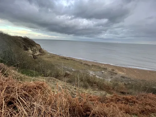 10 Best Trails, Walks, and Paths in Seaham | AllTrails