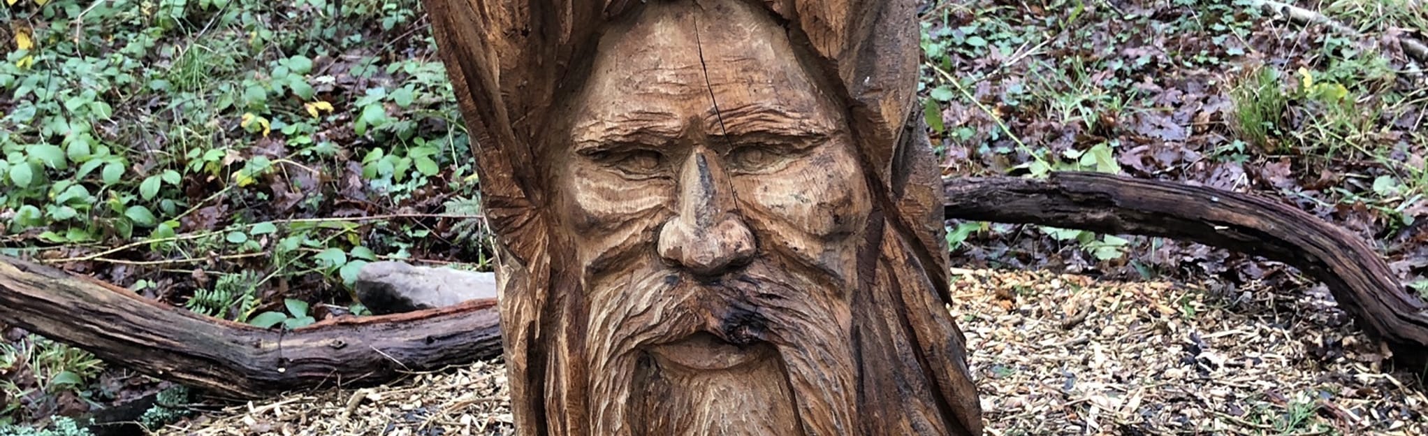 Coed Bach Park Circular, Swansea, Wales - 5 Reviews, Map | AllTrails