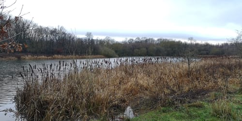 Best Hikes and Trails in Willesley Woods | AllTrails