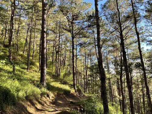 10 Best Trails and Hikes in Philippines | AllTrails