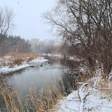 Toogood Pond Loop, Ontario, Canada - 532 Reviews, Map | AllTrails