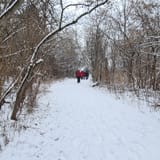 Toogood Pond Loop, Ontario, Canada - 532 Reviews, Map | AllTrails