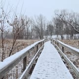 Toogood Pond Loop, Ontario, Canada - 532 Reviews, Map | AllTrails