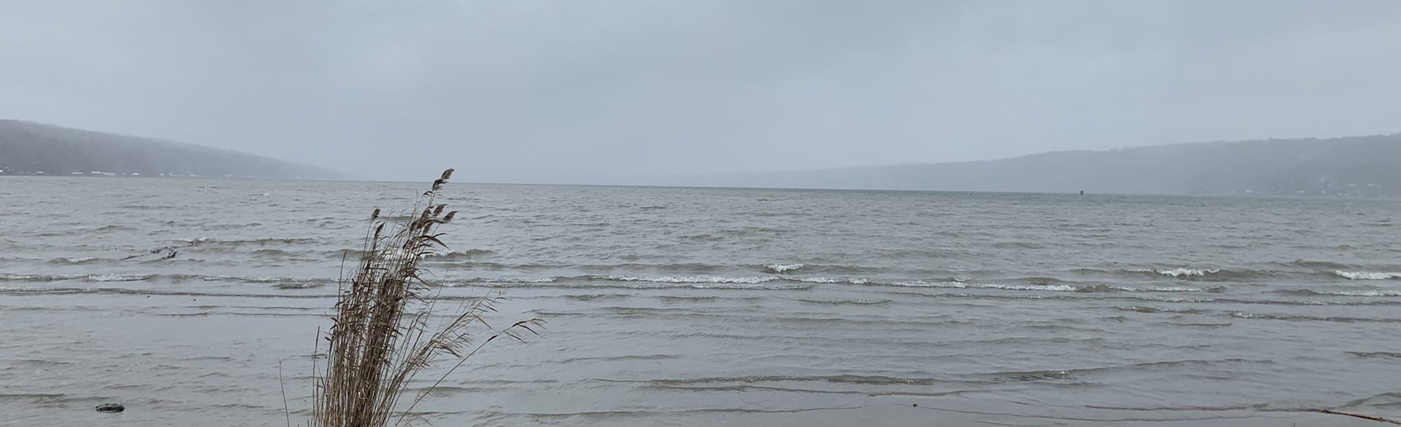 Treman Park Lake Loop, New York - 75 Reviews, Map | AllTrails