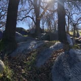 Lost Lake Nature Trail, California - 159 Reviews, Map | AllTrails