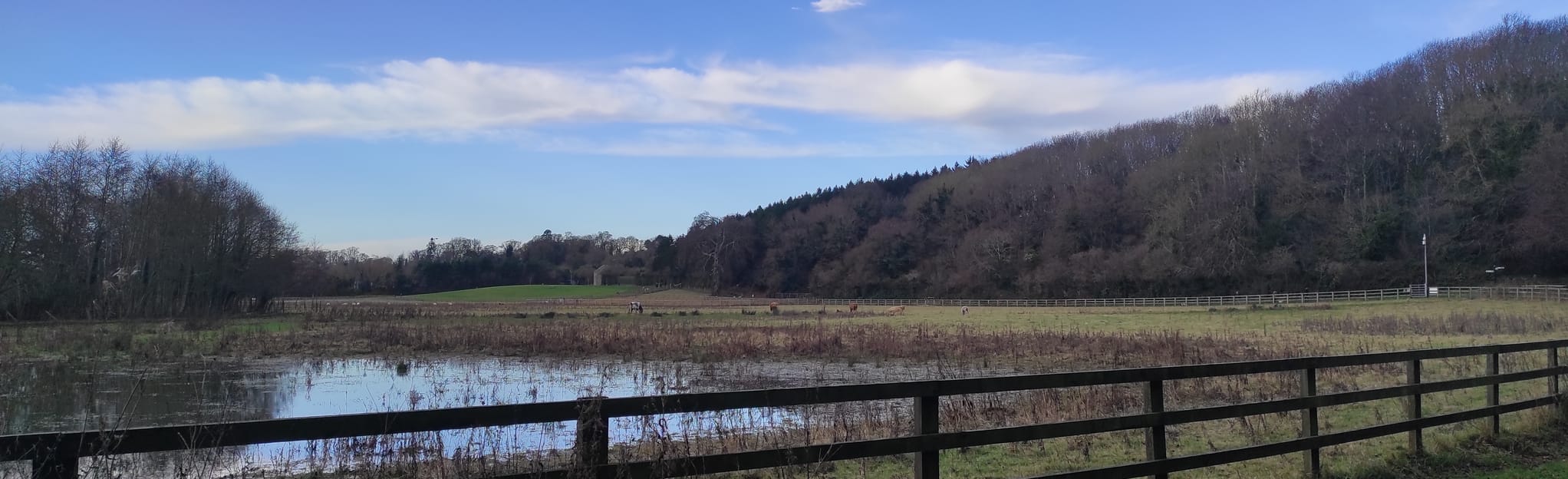 Royal Canal and Leixlip Loop: 29 Reviews, Map - County Kildare, Ireland ...