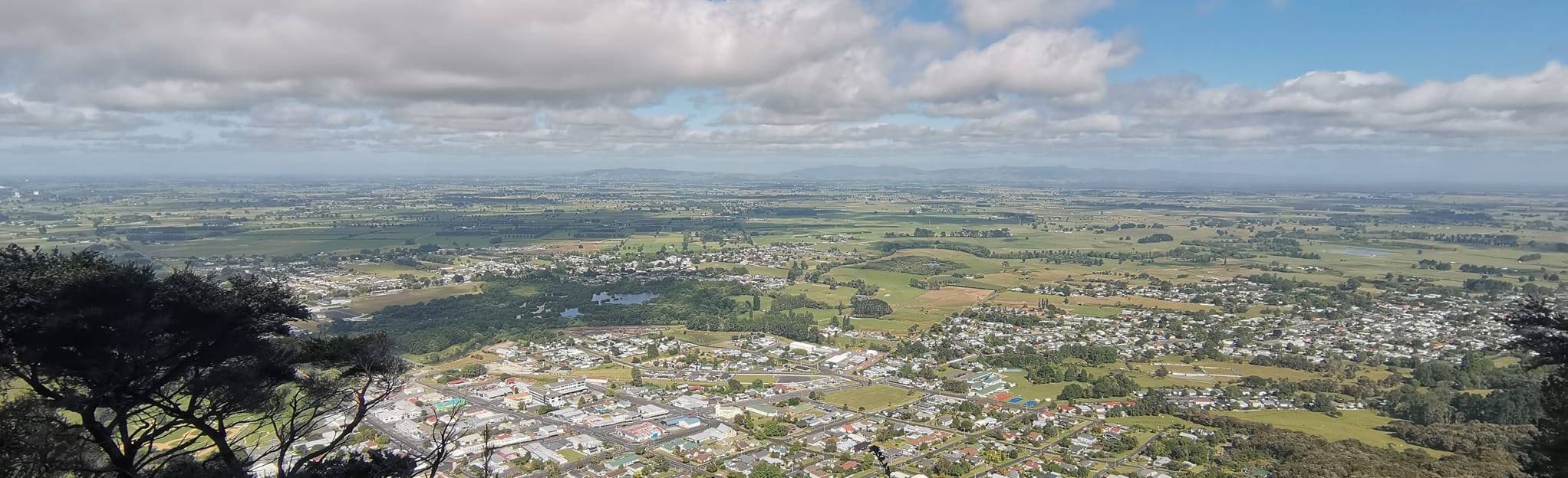 Mount Te Aroha Loop: 31 Reviews, Map - Waikato, New Zealand | AllTrails