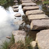 Blind Creek Trail, Victoria, Australia - 126 Reviews, Map | AllTrails