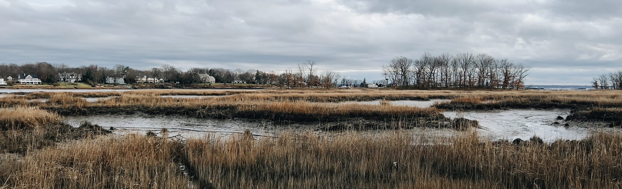 Marshlands Conservancy Loop, New York - 491 Reviews, Map | AllTrails