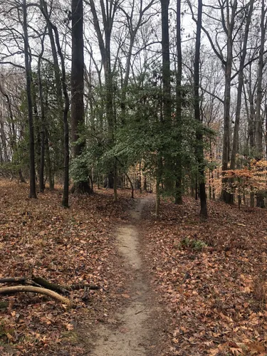 Best Hikes and Trails in Bacon Ridge Natural Area | AllTrails