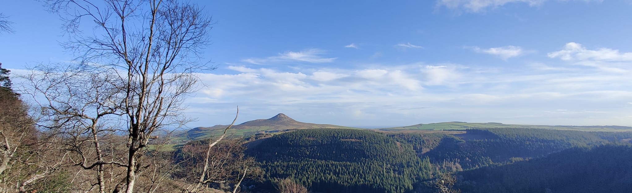 Wicklow Way: Crone Wood Loop, County Wicklow, Ireland - 25 Reviews, Map ...