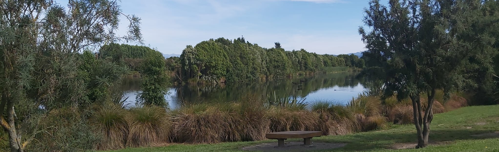 Northbrook Wetlands Loop Track, Canterbury, New Zealand - 14 Reviews ...