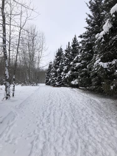 Best Hikes and Trails in Hasse Lake Park | AllTrails