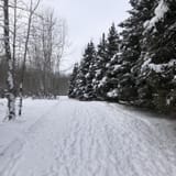 Hasse Lake, Alberta, Canada - 80 Reviews, Map | AllTrails