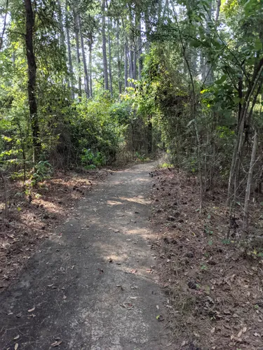 Best Hikes and Trails in Angelina National Forest | AllTrails