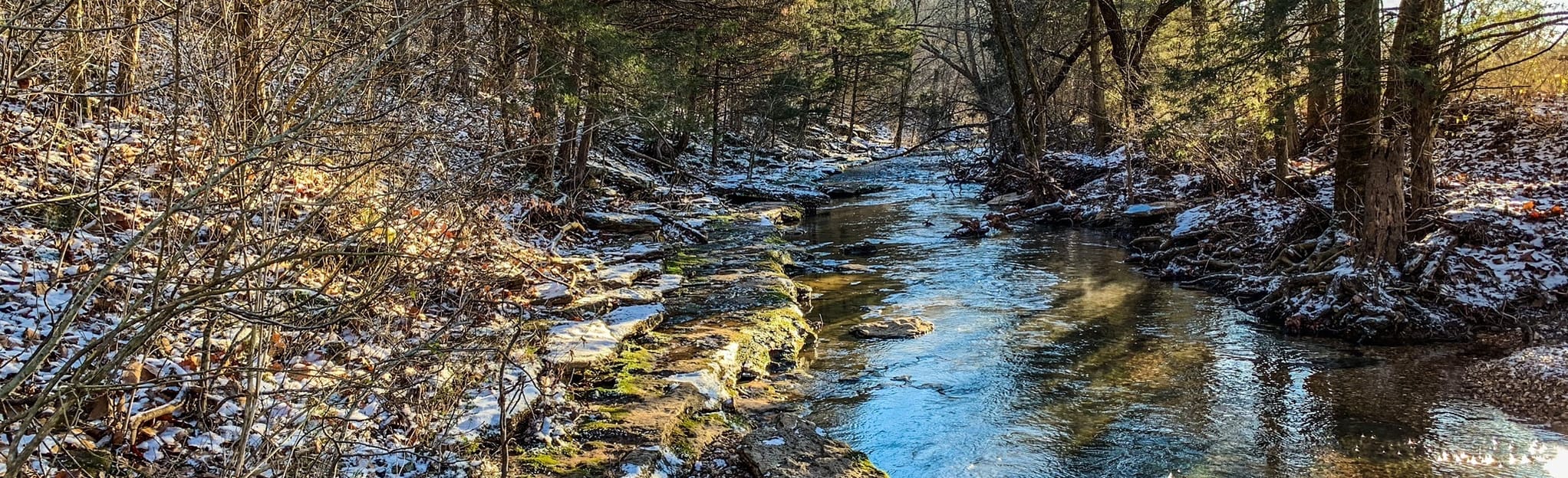 Ward Branch Greenway, Missouri - 101 Reviews, Map | AllTrails